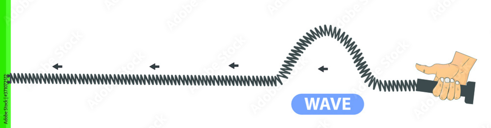 physics. Stretched Spring. transverse waves. longitudinal. The ...