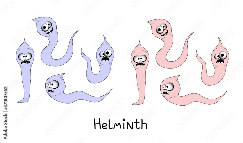 helminths, roundworms. intestinal parasites. warning sign parasitism ...