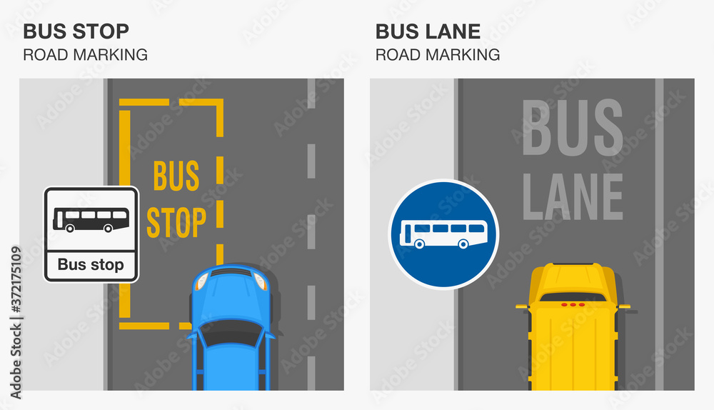 Road markings meaning infographic. Bus stop and bus lane markings ...