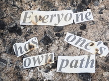 Everyone Has A Choice Free Stock Photo - Public Domain Pictures