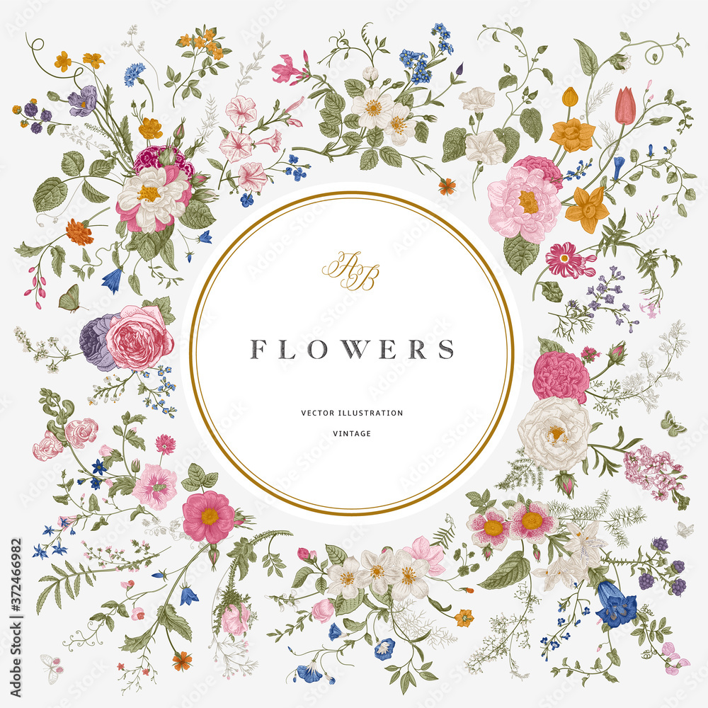 Vintage floral vector frame. Victorian. Flora. Colorful Stock Vector ...