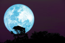 Full Moon Over Tree Tops Free Stock Photo - Public Domain Pictures
