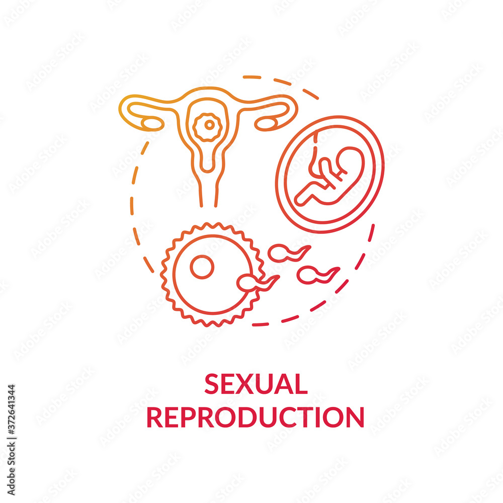 Sexual reproduction concept icon. Human physiology, sex education idea ...