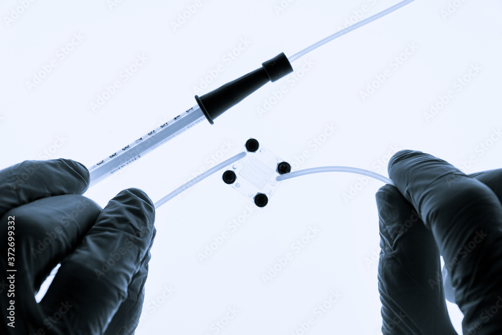 Стоковое фото «Organ on chip OOC and lab on chip LOC - microfluidic ...