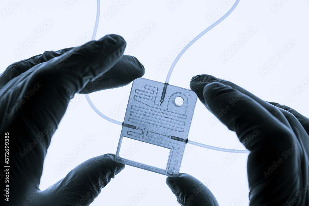 Photo Stock Organ on chip OOC and lab on chip LOC - microfluidic device ...