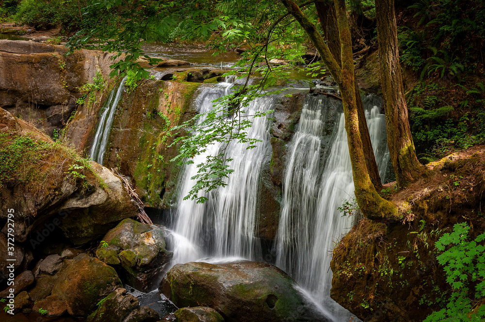 Foto Whatcom Falls Park, Located in the Heart of Bellingham, Washington ...