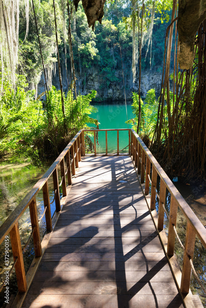 Magnificent view of the mystery misty cave in the jungle, with sun rays ...