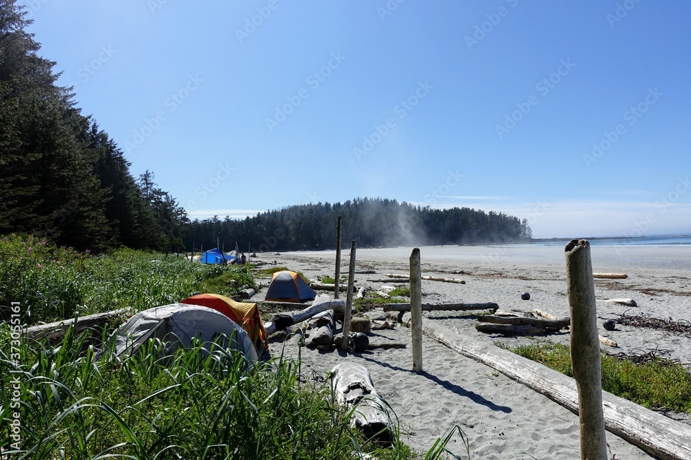 Tents set up for camping along a gorgeous seascape view of the sandy ...
