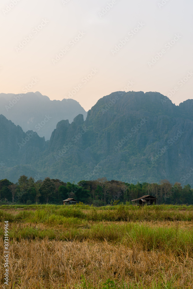 Rice field with karst mountain background in Vang Vieng, Laos Stock ...
