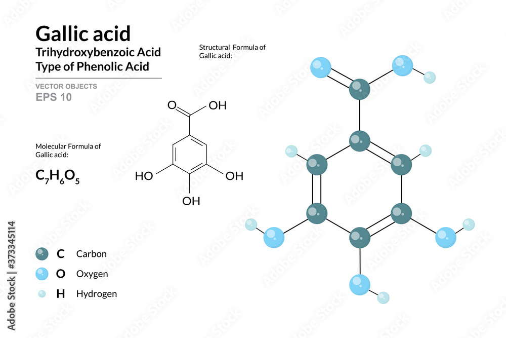 Gallic acid. Structural Chemical Formula and Molecule 3d Model. Atoms ...