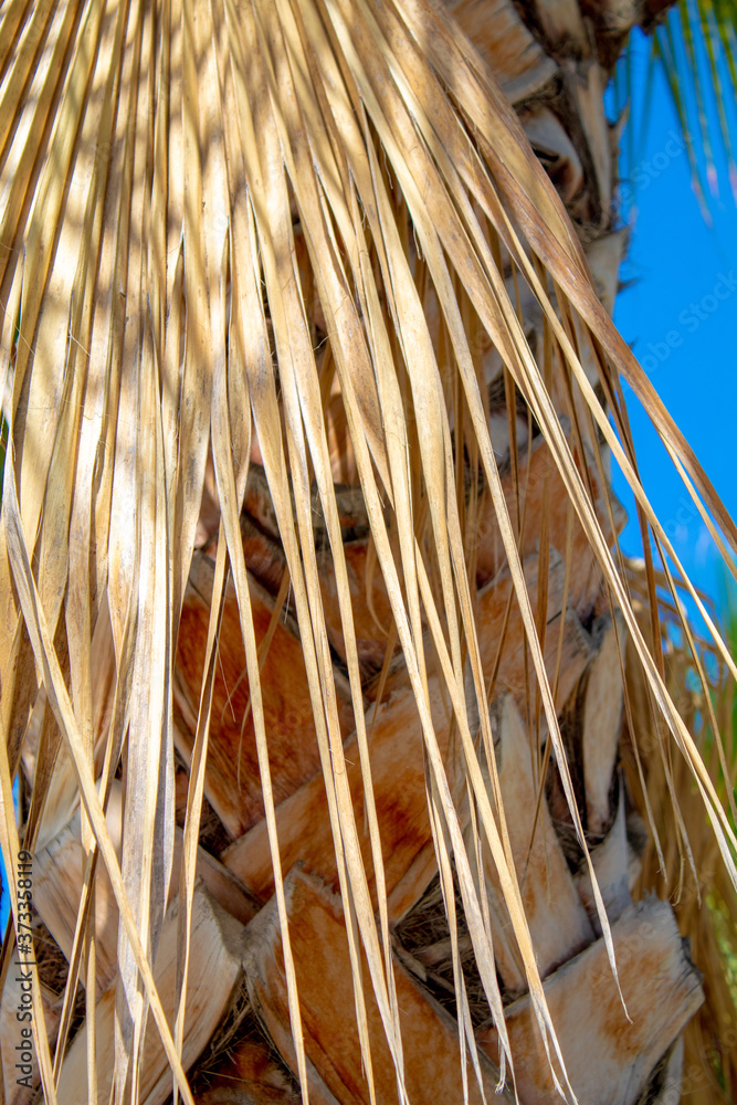 colores y texturas de la naturaleza Stock Photo | Adobe Stock