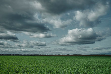 Storm Clouds Over Country Field Free Stock Photo - Public Domain Pictures