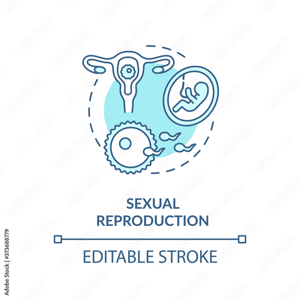 Vektor Sexual reproduction concept icon. Human physiology, sex ...
