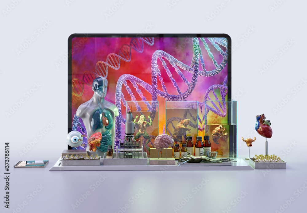 Online education, distance learning, back to school concept. Biology ...