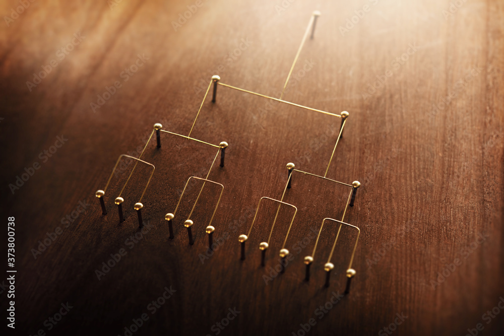 Hierarchy, command chain, company / organization structure or layer and ...