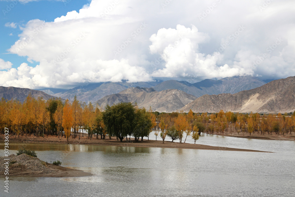 Autumn view of mountains, Yarlung Tsangpo river and Poplar trees with ...