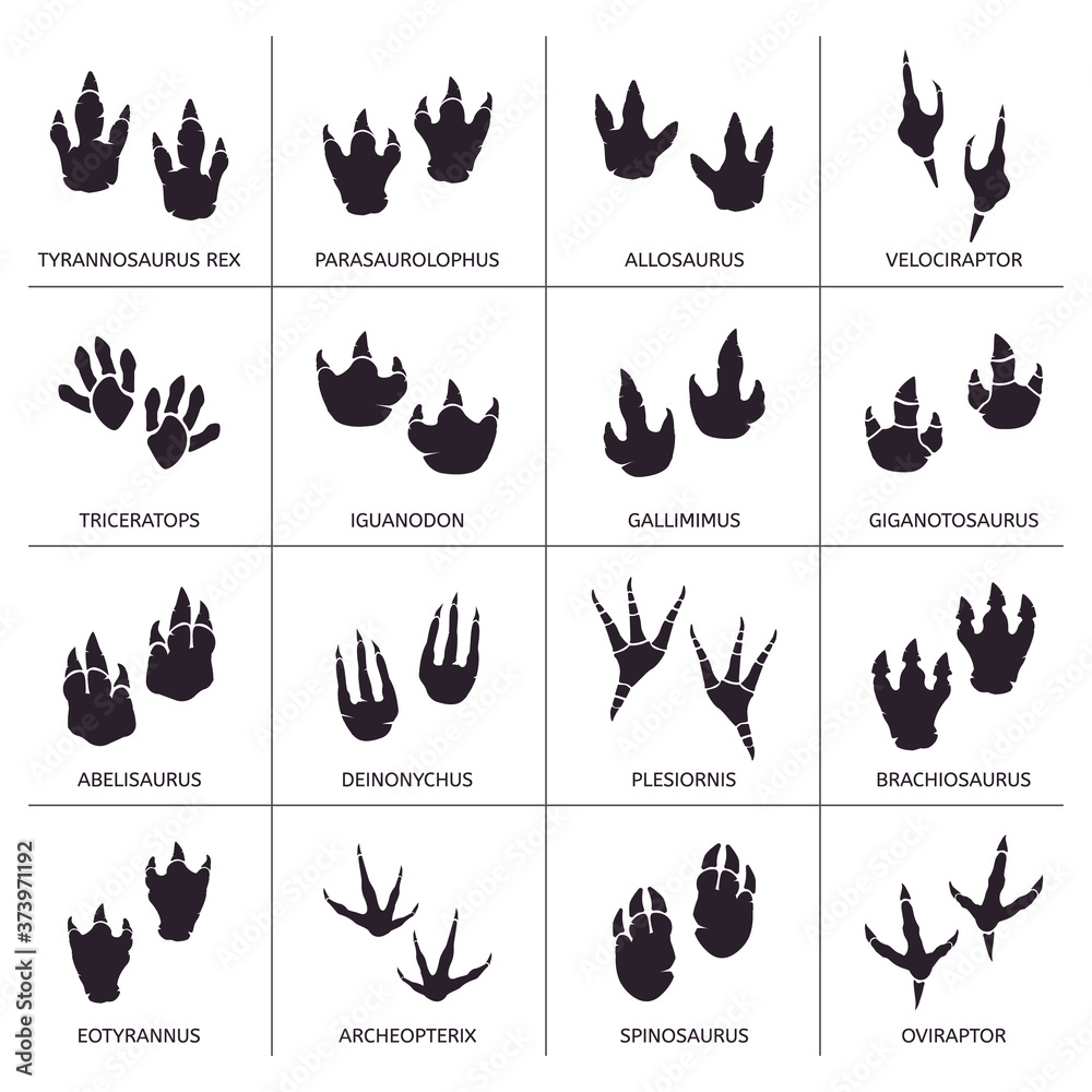 Dinosaur footprint. Reptile foot anatomy, ancient predator animals ...