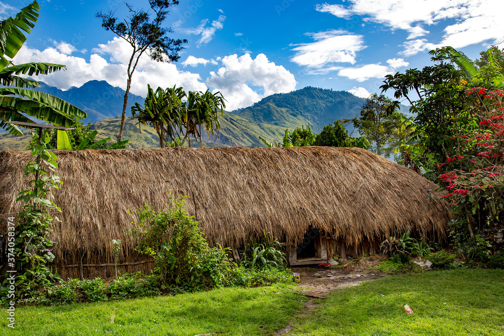 Aboriginal thatched roof hut is a typical abode of the indigenous ...