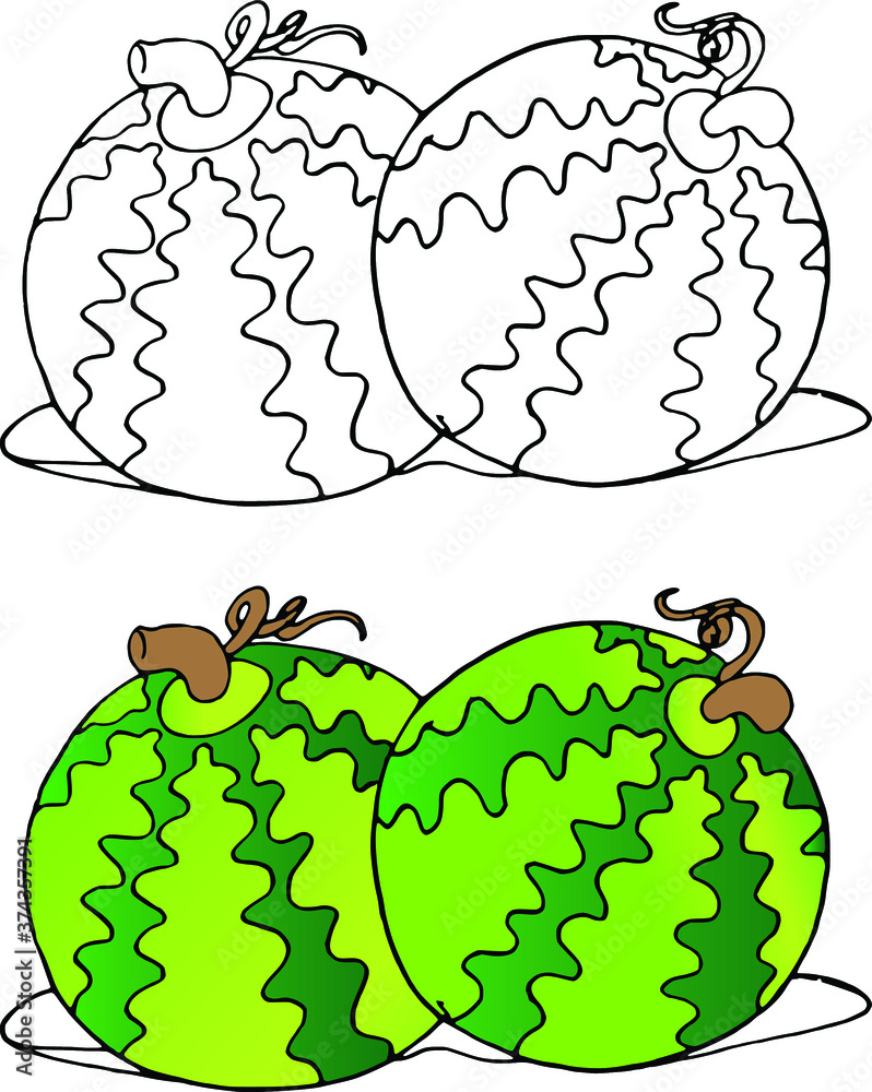 Vector illustration cartoon watermelon drawing Stock Vector | Adobe Stock