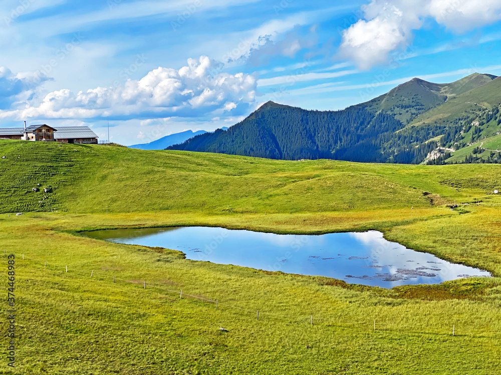 The alpine lower lake Seefeldsee (unterer Seefeldsee) or lower Seefeld ...