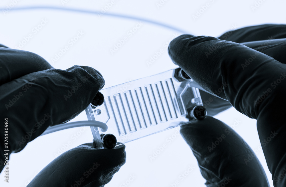 Foto de Stock Organ on chip OOC and lab on chip LOC - microfluidic ...