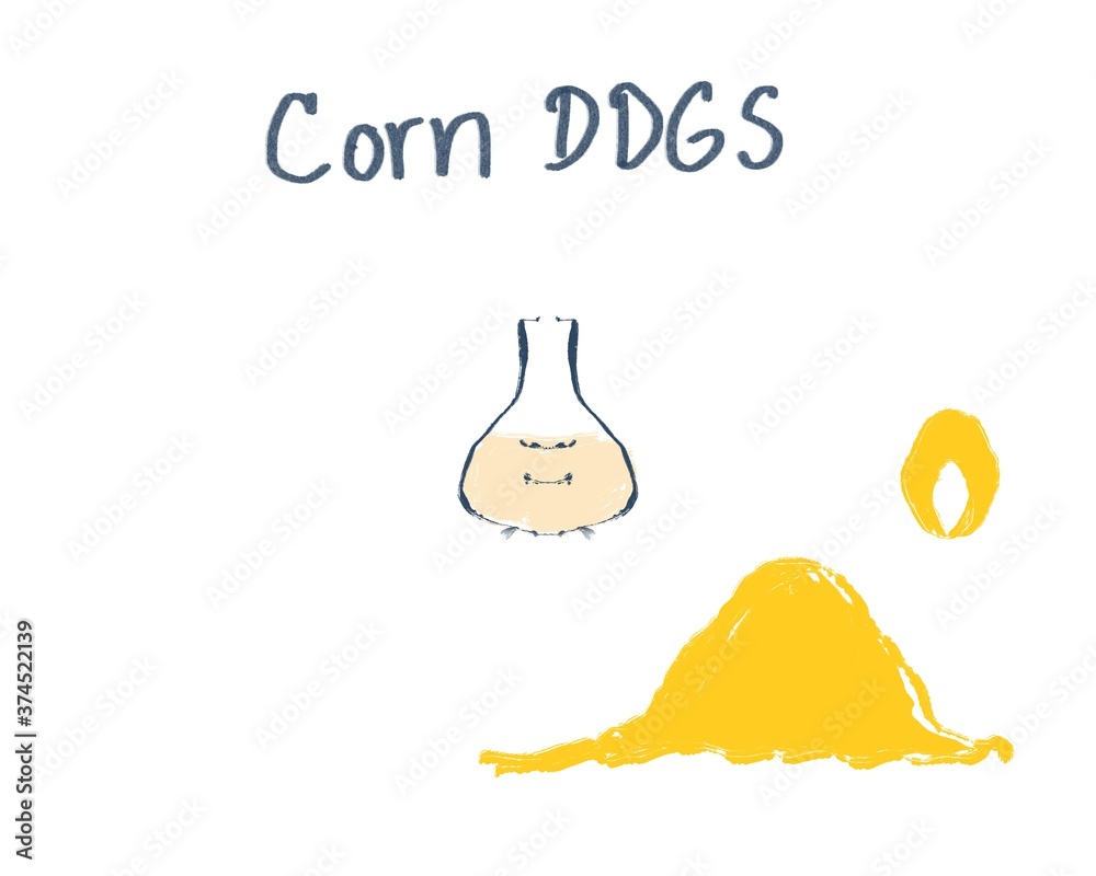 Yellow gold Corn Distiller's dried grains with solubles (DDGS) and corn ...