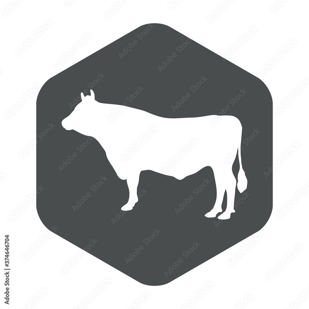 Animales de granja. Silueta de toro de raza guernsey en hexágono color ...