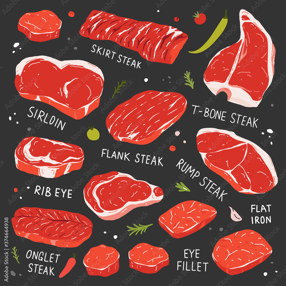 Steak collection, various types of beef steak, realistic illustration ...