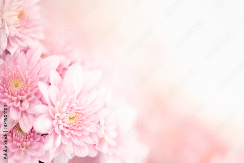 Nature of pink flower in garden using as cover page background natural ...
