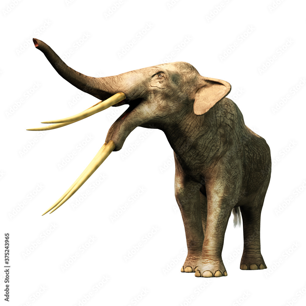Stegotetrabelodon is an extinct, four tusked, prehistoric cousin of the ...