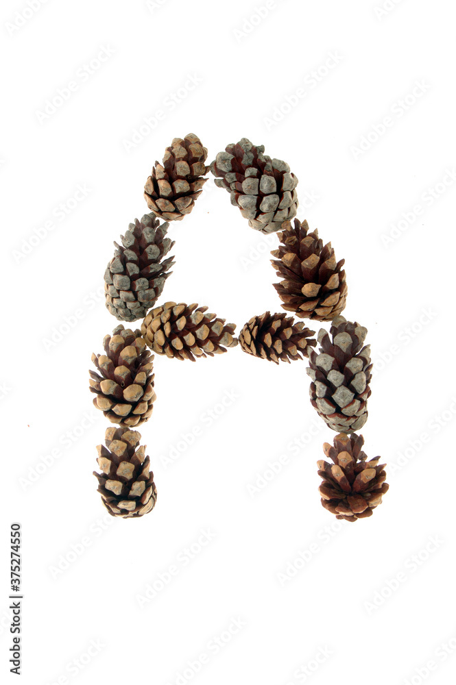 A to Z letters made from pine cones, alpha numeric set, unusual ...