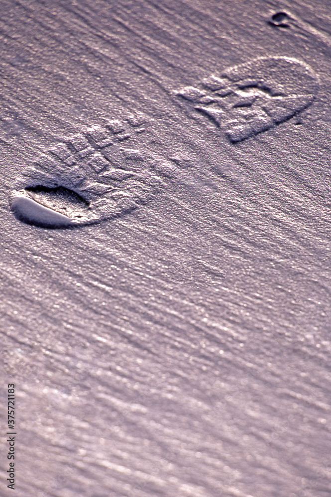 solitary footprint boot print in wet sand late afternoon on beach along ...