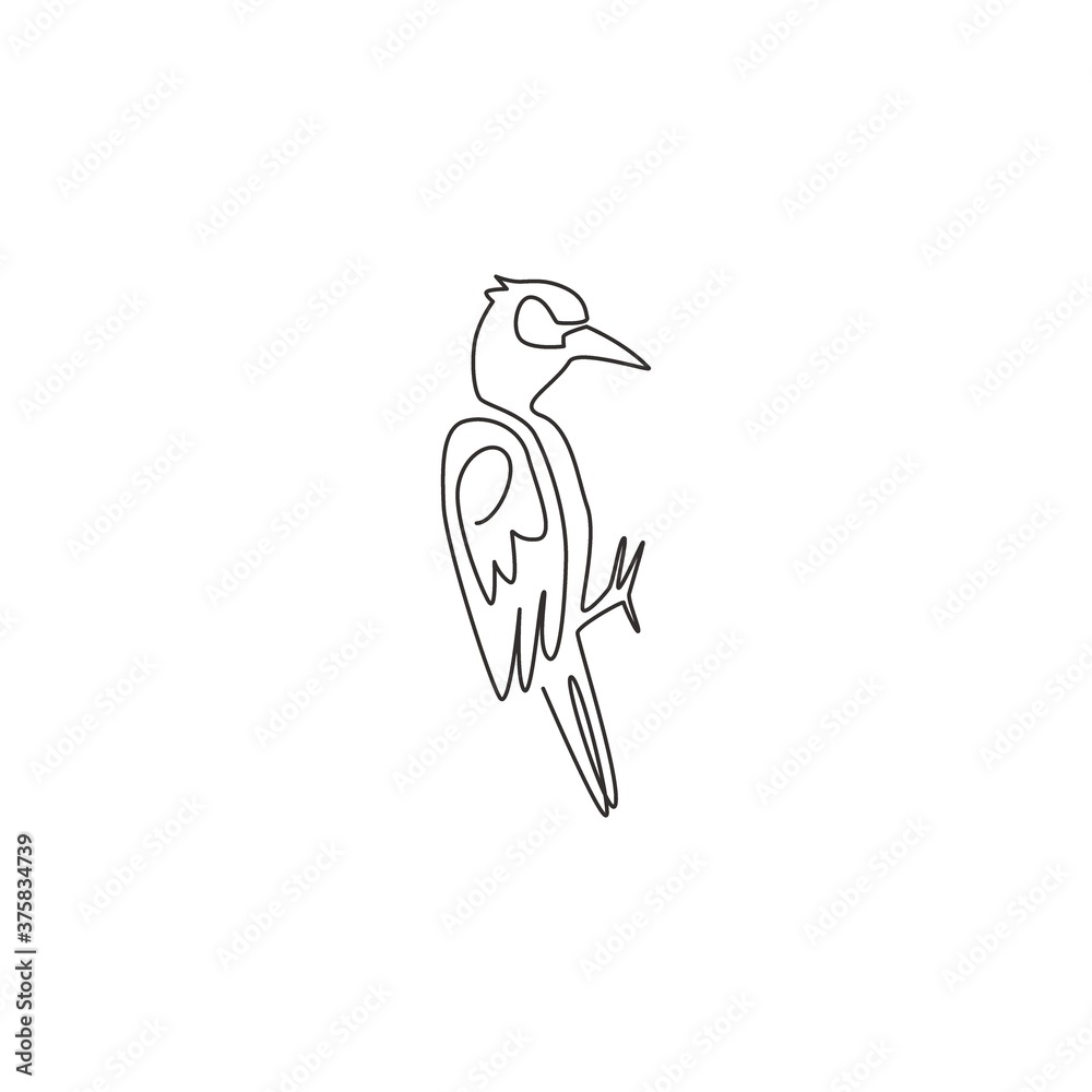 One continuous line drawing of cute woodpecker on tree. Beak drummer ...