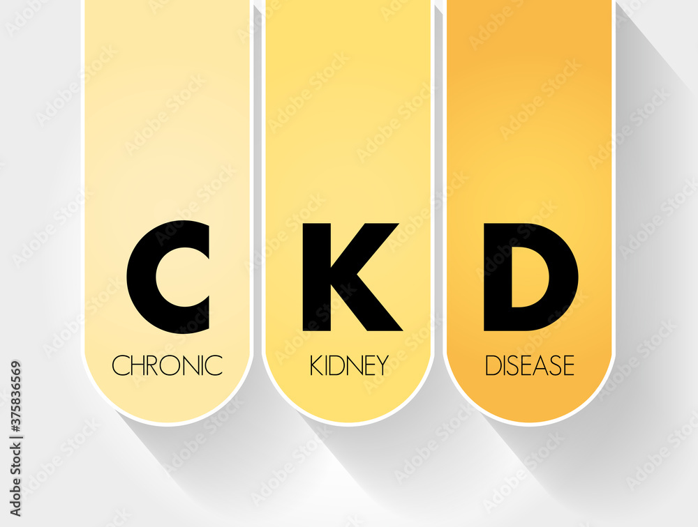 CKD - Chronic Kidney Disease acronym, medical concept background Stock ...