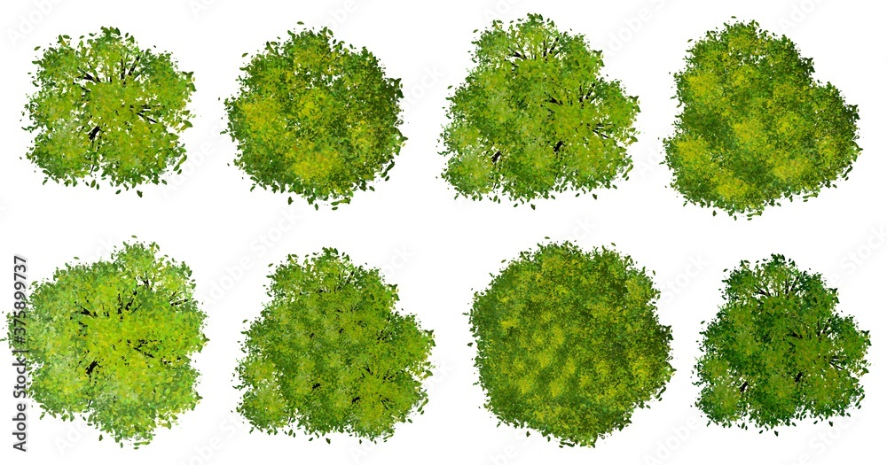 set of green leaves, Set of watercolor tree top view for landscape plan and architecture layout ...