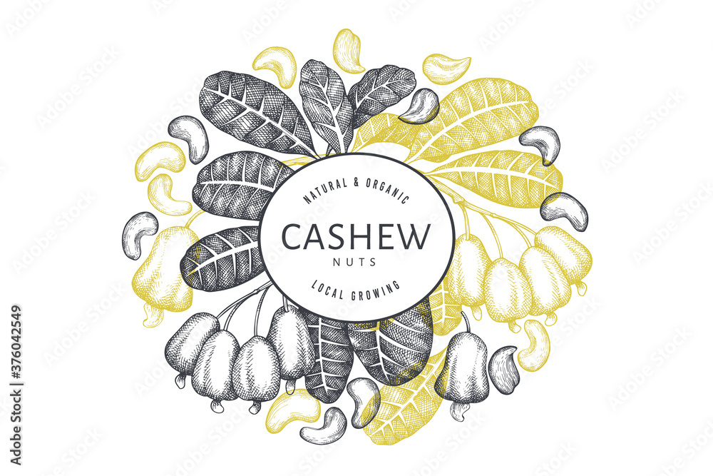 Hand drawn sketch cashew design template. Organic food vector ...