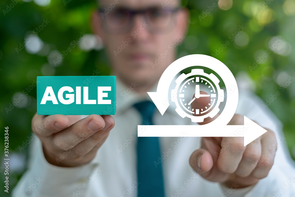 Agile Development Methodology Data Software Business Concept. Agility ...