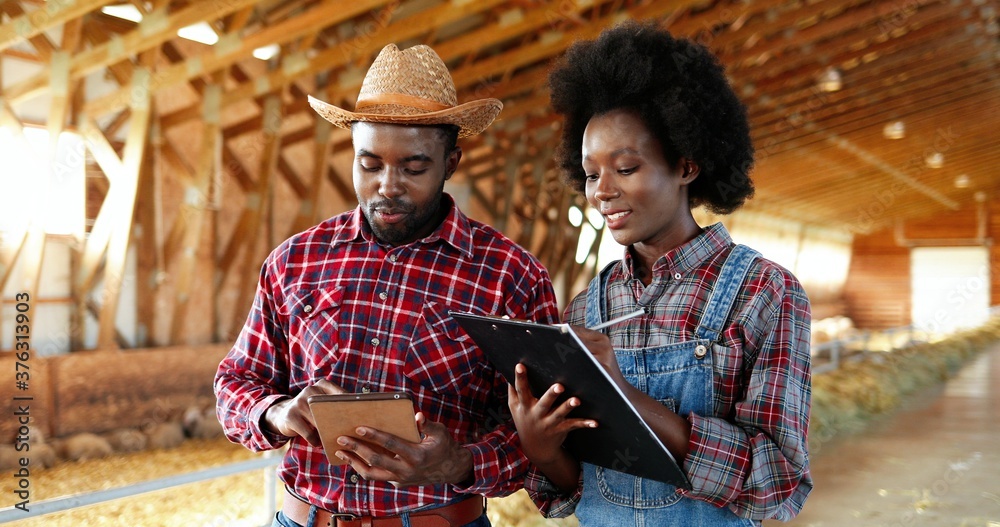 Foto de Stock African American couple of male and female farmers ...