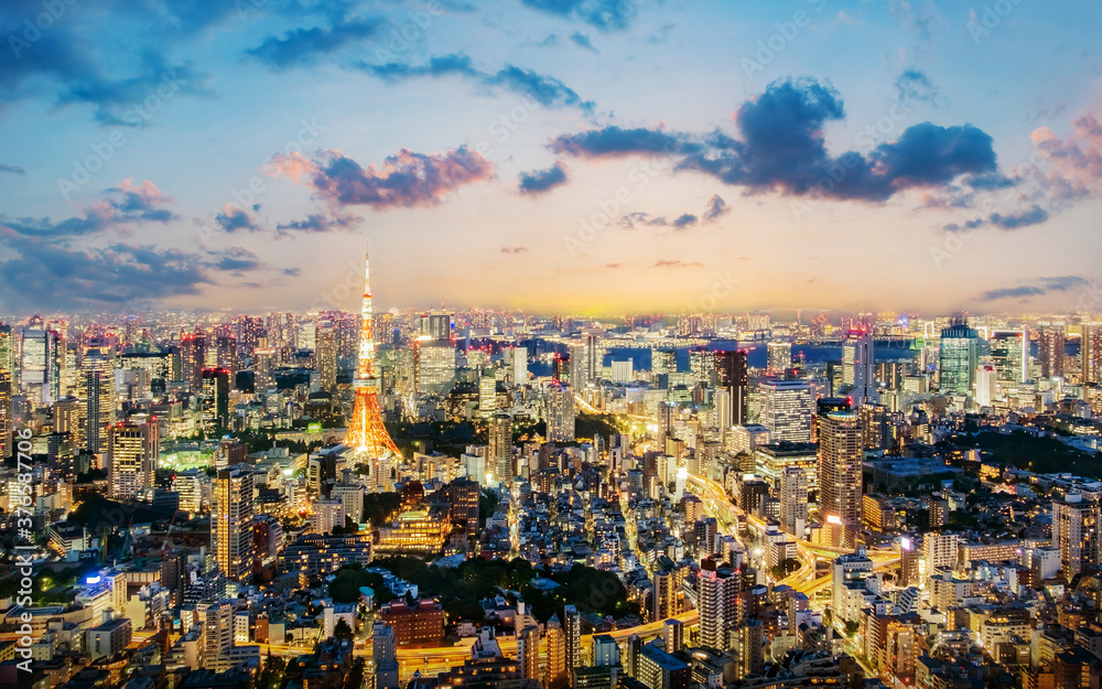 Cityscape of Tokyo skyline, panorama aerial skyscrapers view of office ...