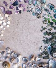 Pink Abalone Shells Free Stock Photo - Public Domain Pictures