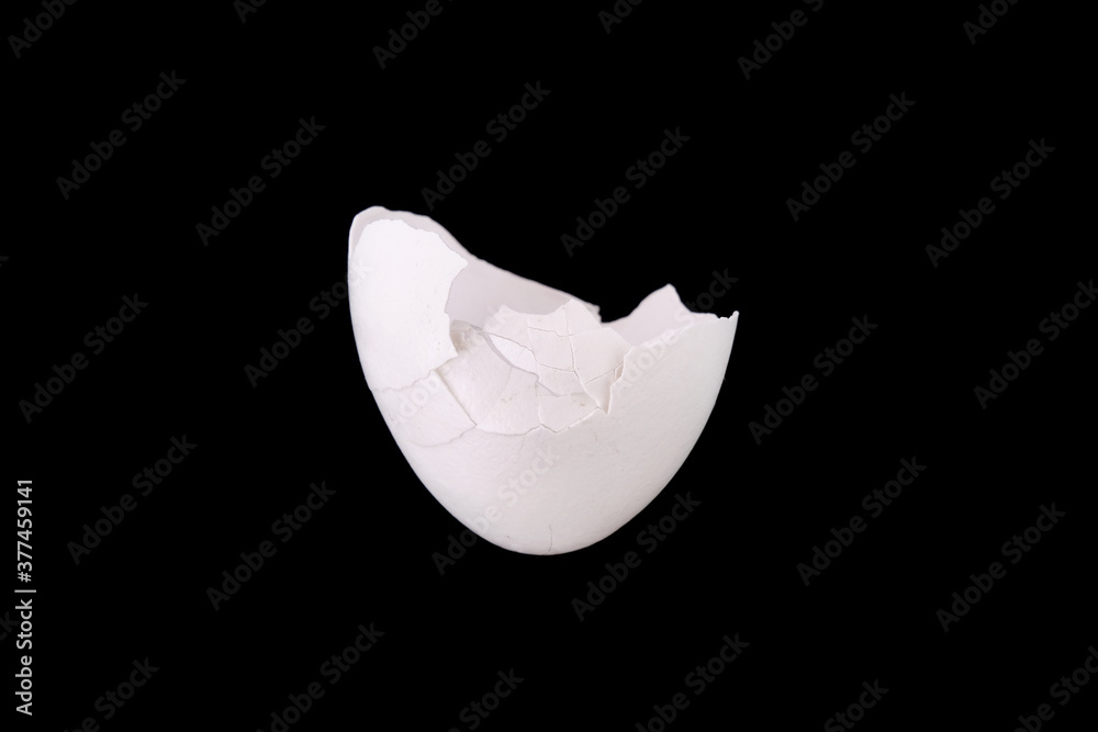 One empty cracked white chicken egg shell, bottom half, showing cracked ...