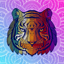 Indian Mandala With A Tiger Free Stock Photo - Public Domain Pictures