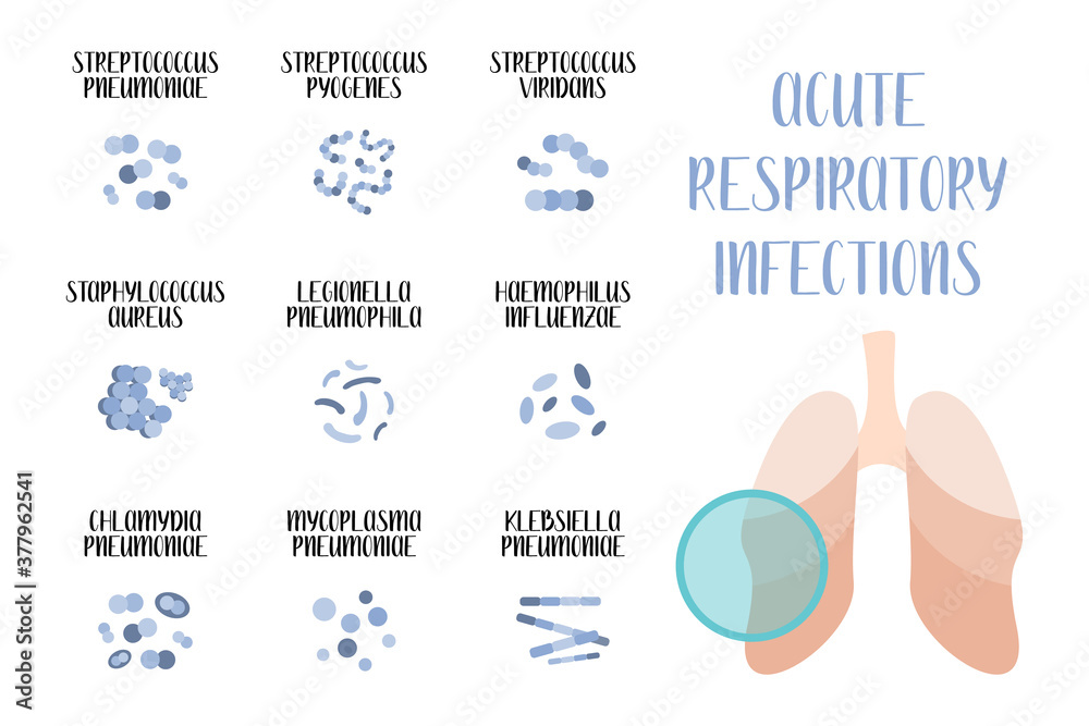 Acute respiratory tract infections. Pathogenic bacteria (cocci, bacilli ...