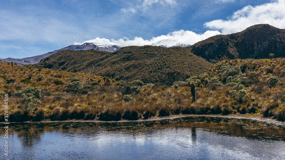Landscape in Los Nevados National Natural Park in Colombia. Nevado de ...