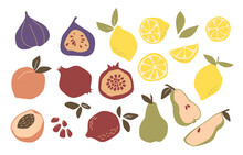 Pear Fruit Illustration Free Stock Photo - Public Domain Pictures