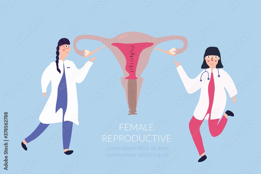 Banner two female doctors talk about a woman's reproductive system ...
