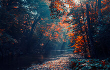 Night Landscape In Fall Free Stock Photo - Public Domain Pictures