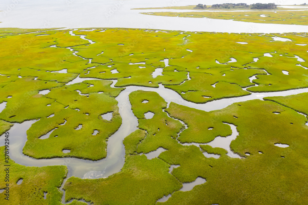 Narrow channels meander through a salt marsh in Pleasant Bay, Cape Cod ...