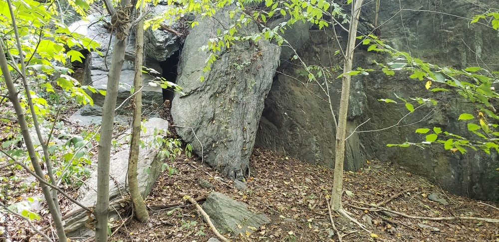 Bear Den in the Thain Family Forest in the New York Botanical Garden ...