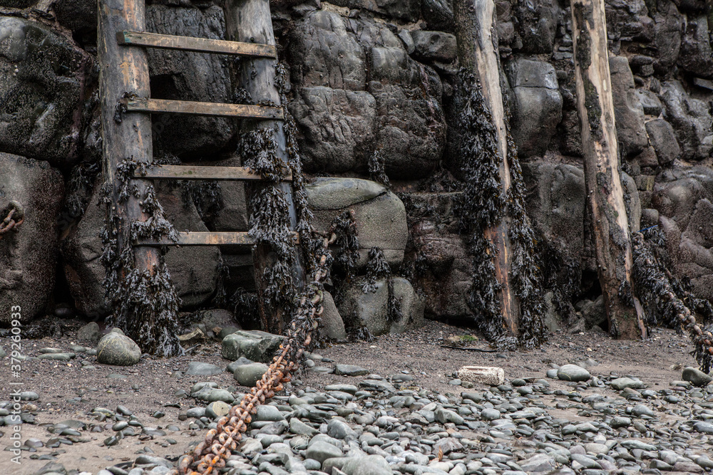 siege ladder Stock Photo | Adobe Stock